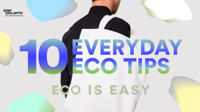 10 Everyday ECO tips